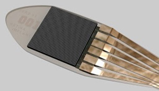 bionic-vision.org | Implants | Alpha IMS