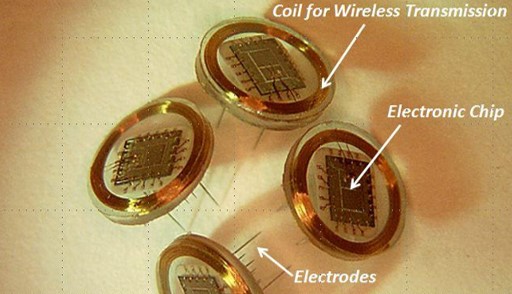bionic-vision.org | Implants | Intracortical Visual Prosthesis