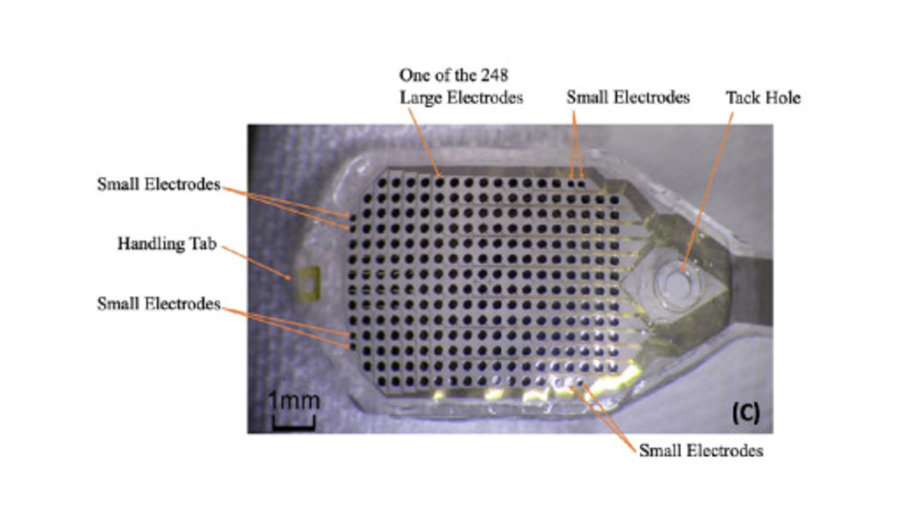 bionic-vision.org | Implants | IMIE 256 Channel Intelligent Micro Implant Eye