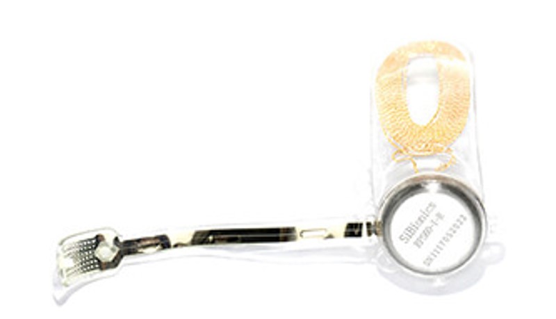 bionic-vision.org | Implants | SiBionics Prosthesis