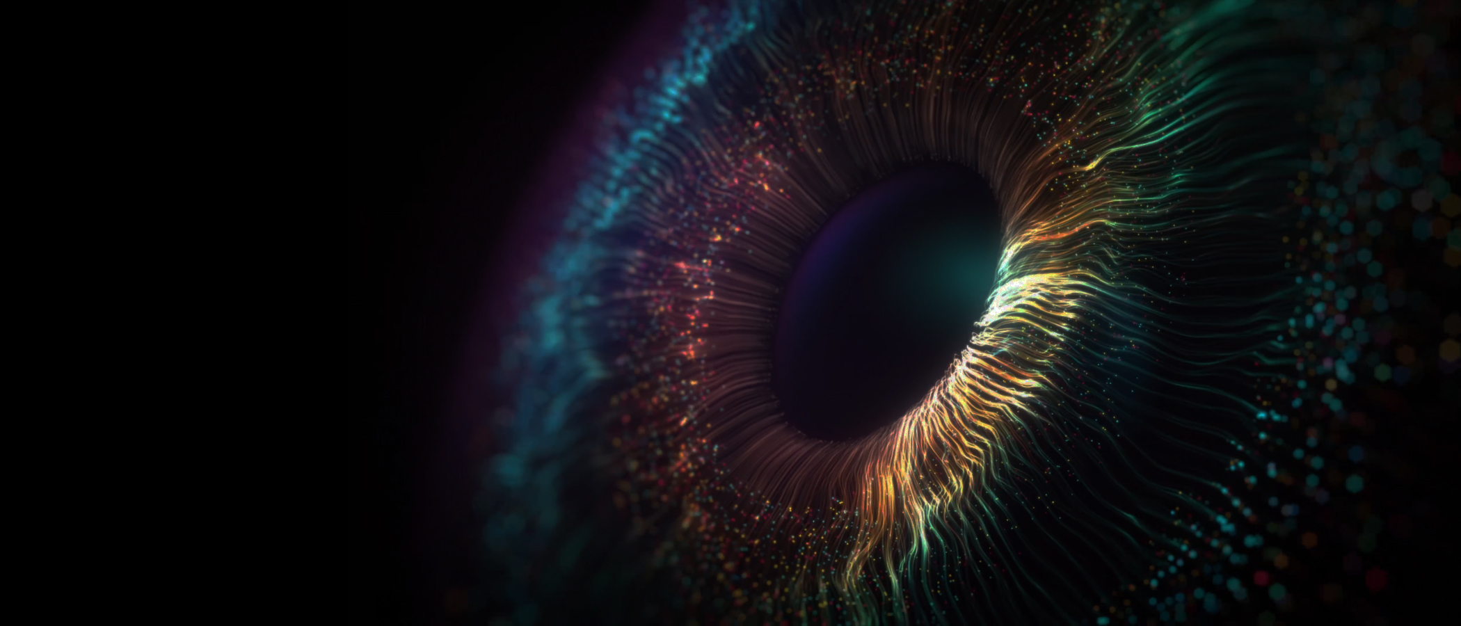 bionic-vision.org: Visual Prostheses for the Blind