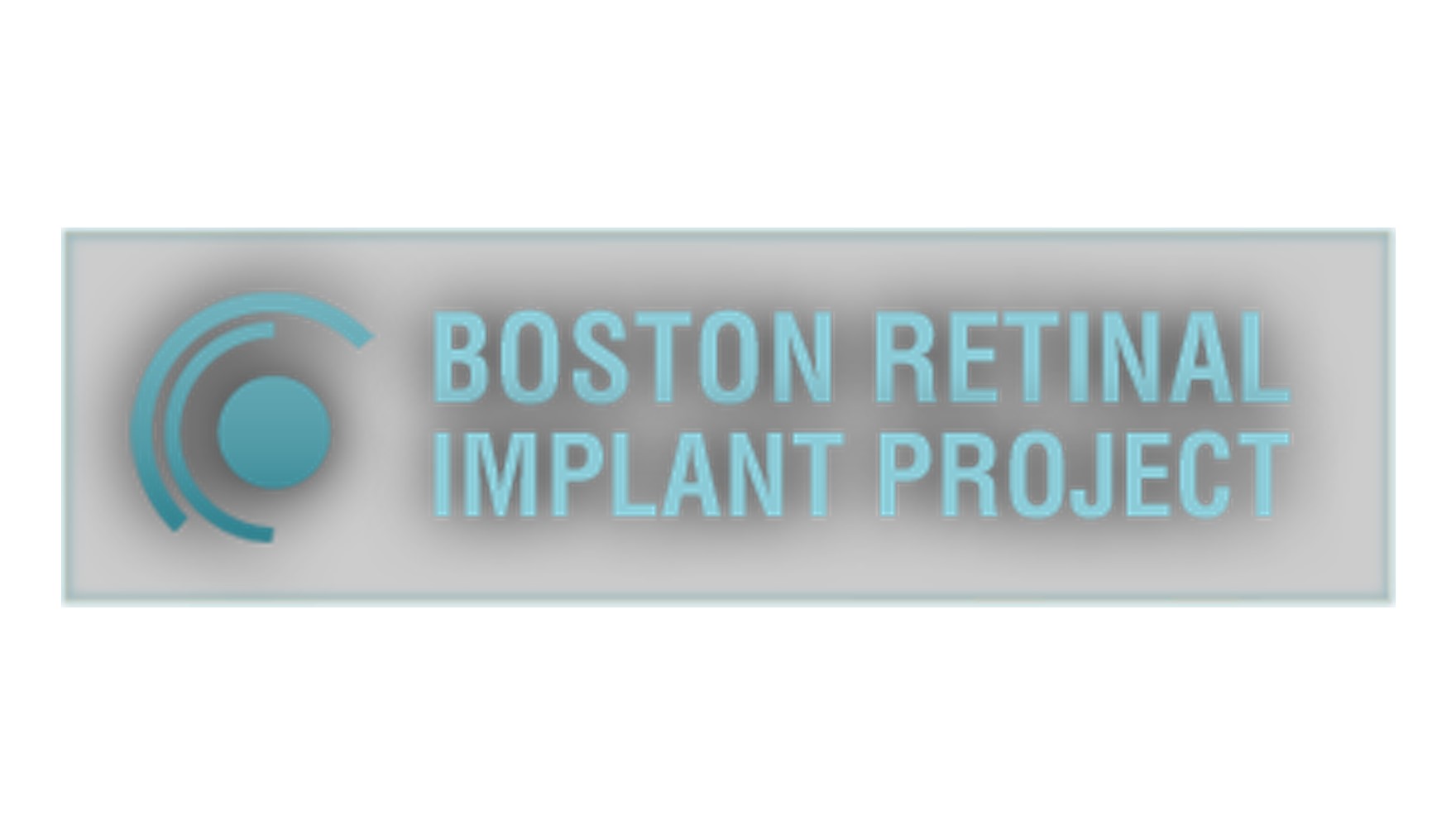 bionic-vision.org | Consortia | Boston Retinal Implant Project