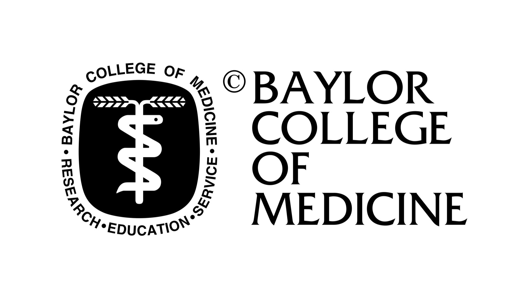 bionic-vision.org | Institutions | Baylor College of Medicine