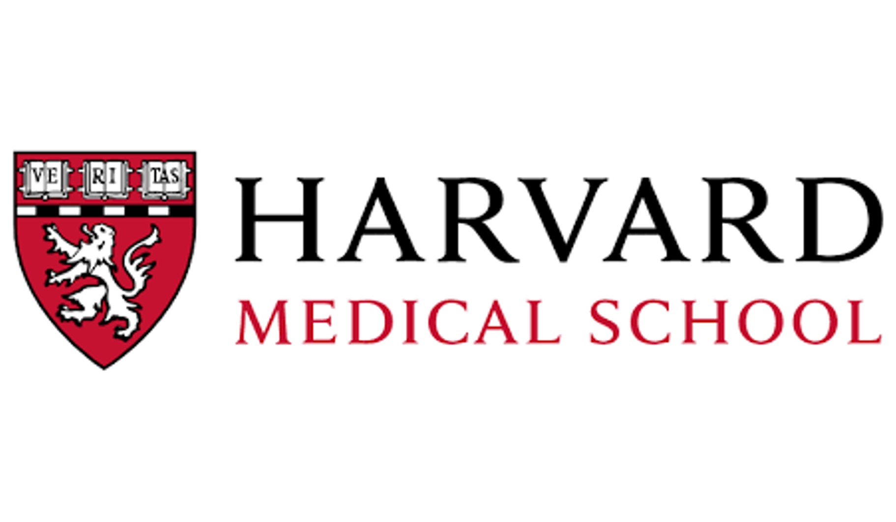 bionic-vision.org | Institutions | Harvard Medical School
