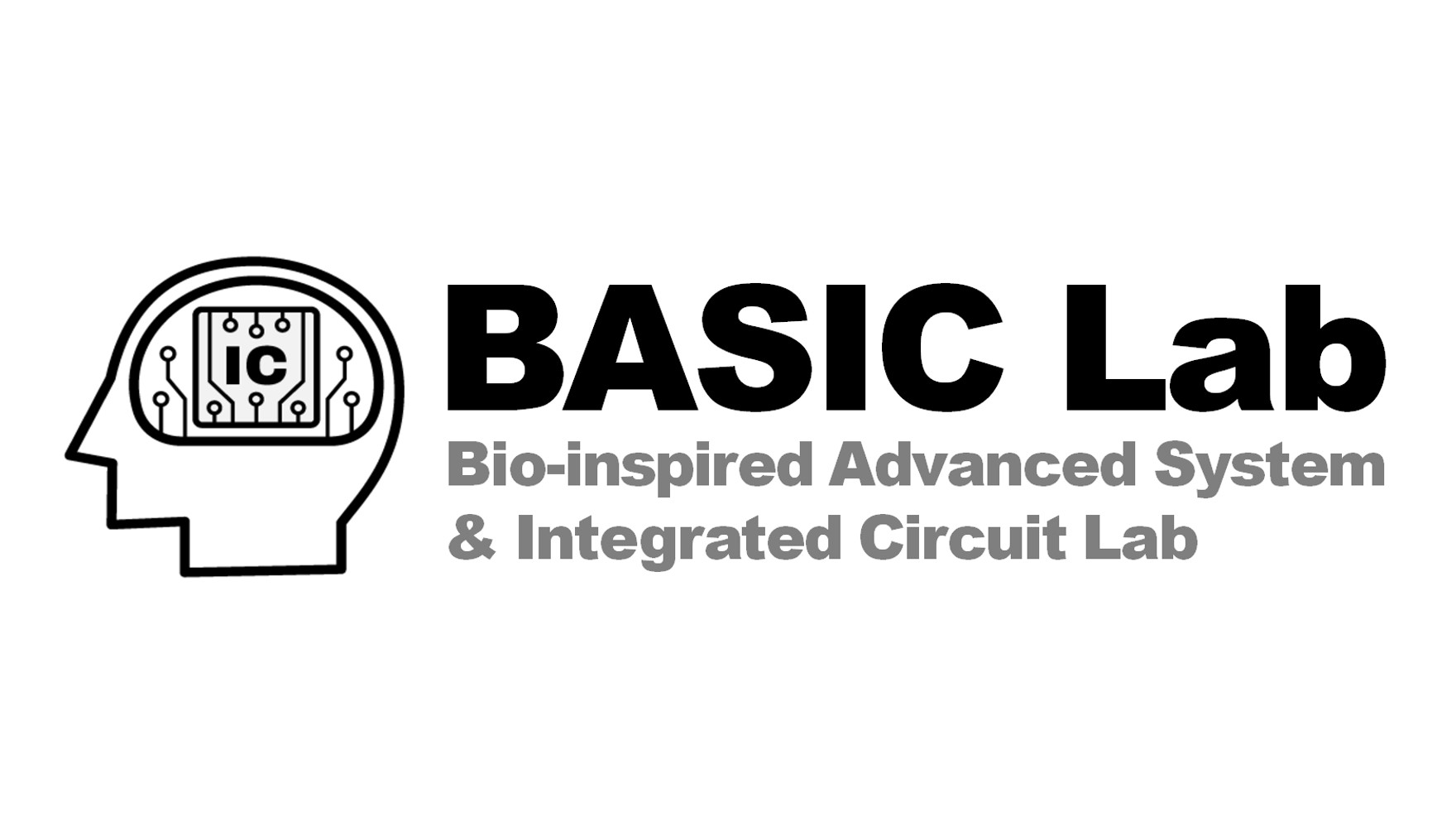 bionic-vision.org | Research Groups | Bio-inspired Advanced System ...