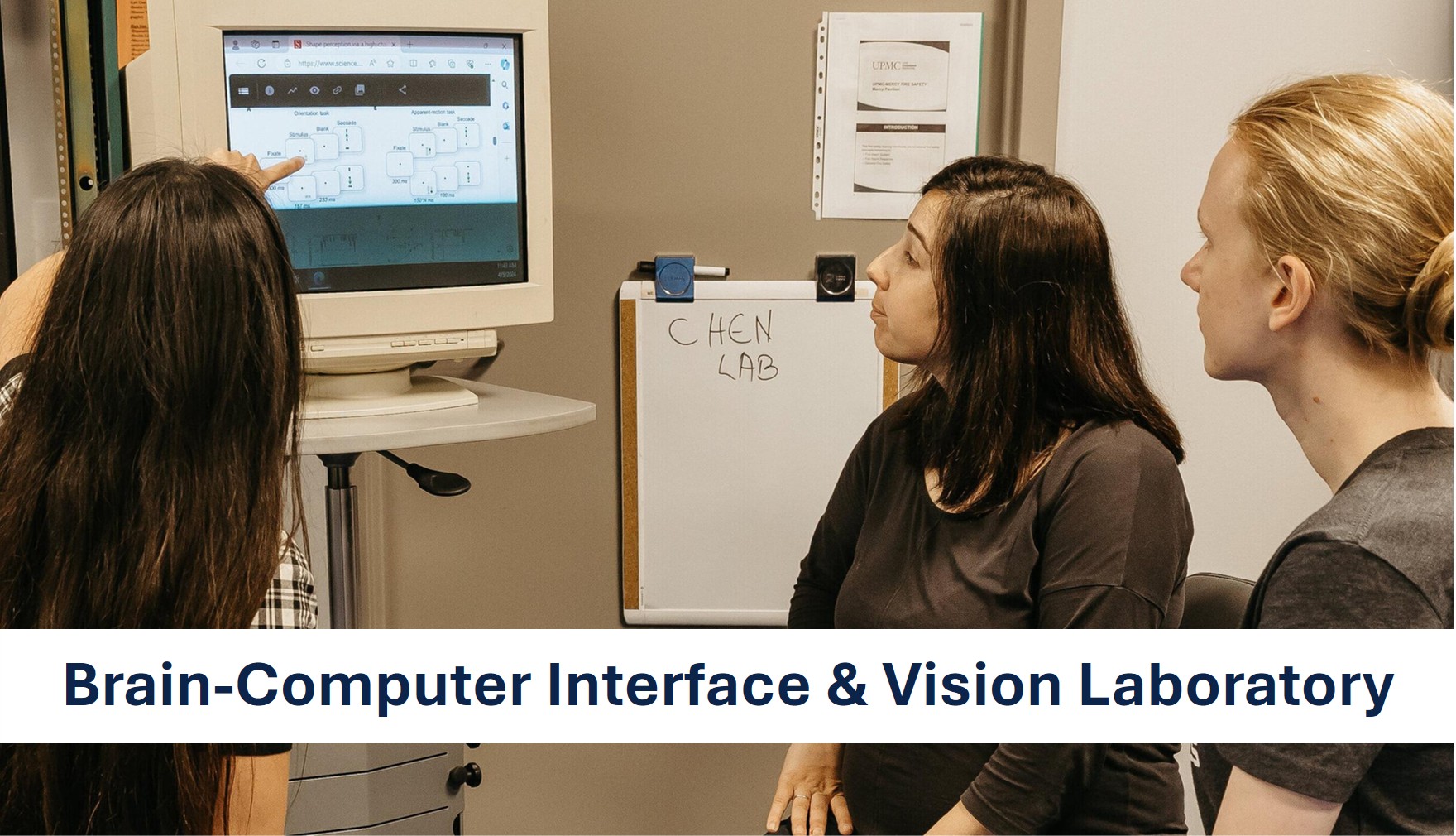 bionic-vision.org | Research Groups | Brain-Computer Interface & Vision Laboratory