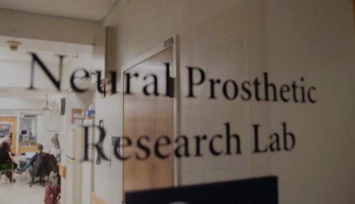 bionic-vision.org | Research Groups | Neural Prosthetic Lab