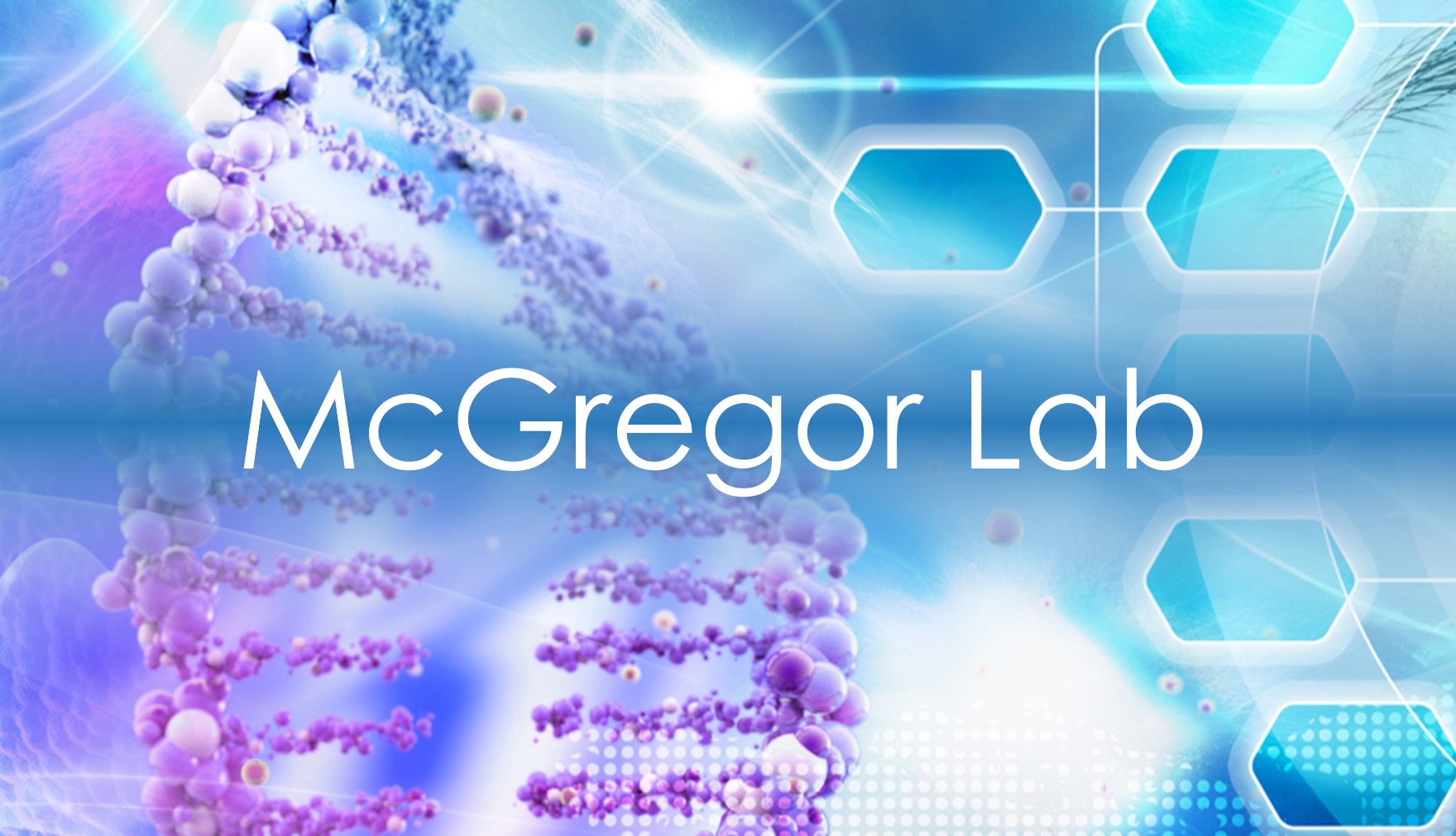 bionic-vision.org | Research Groups | McGregor Lab