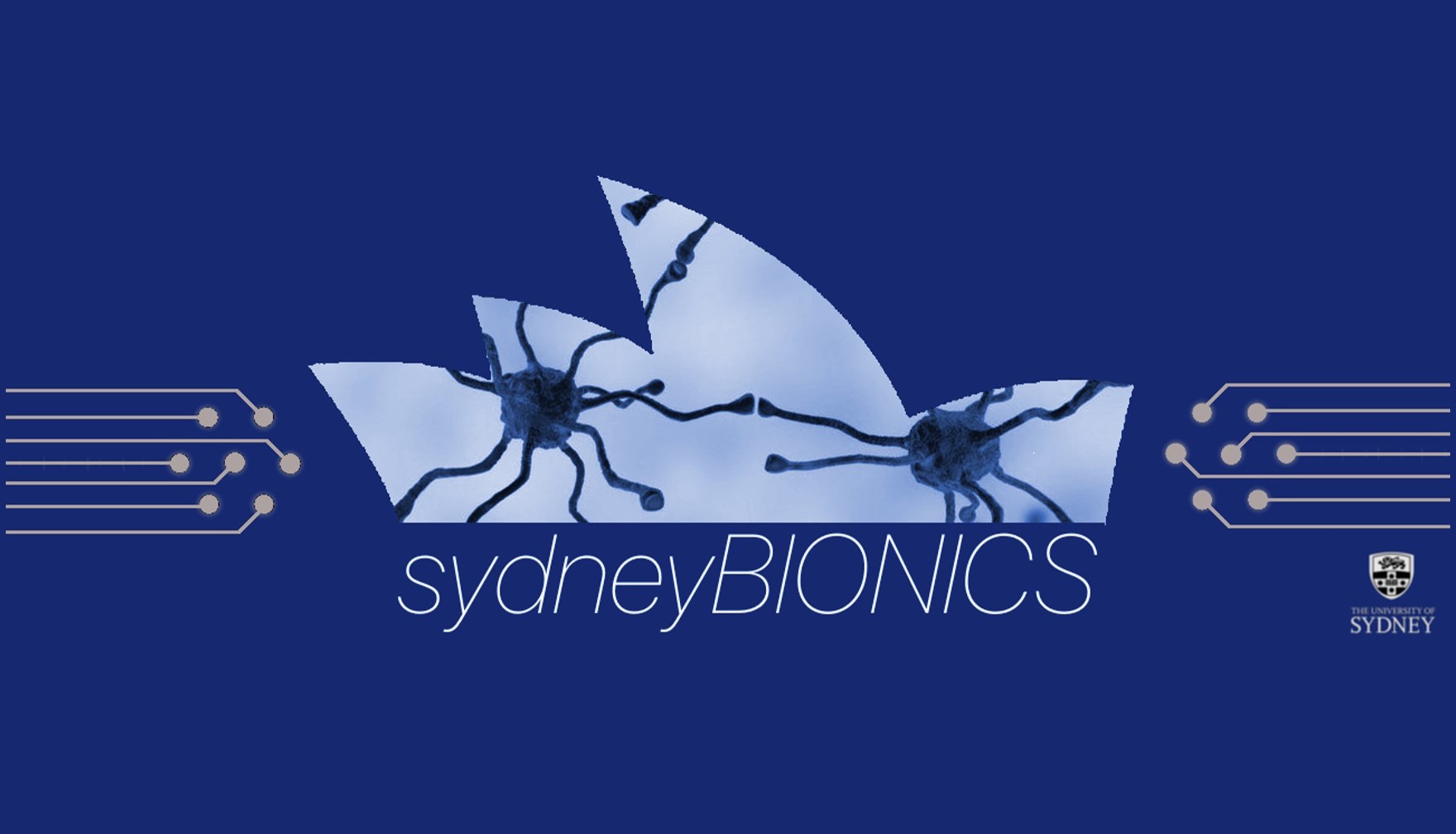 bionic-vision.org | Research Groups | sydneyBIONICS