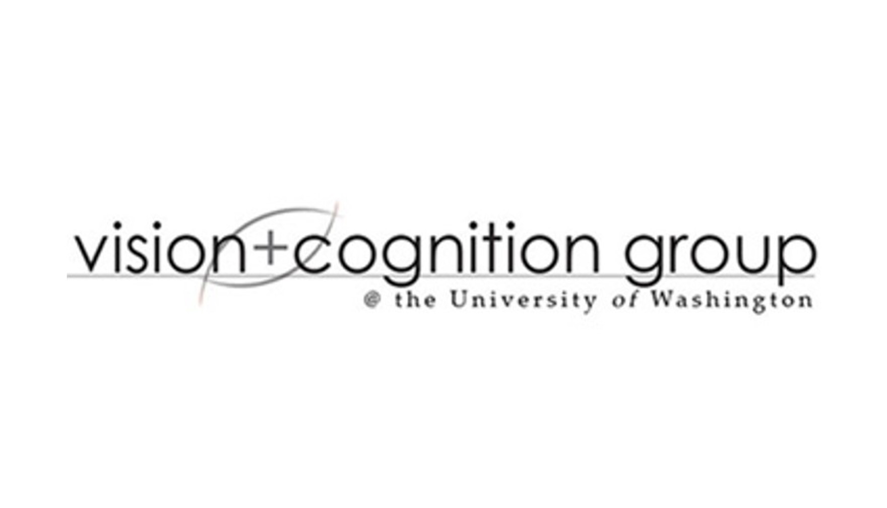 bionic-vision.org | Research Groups | Vision + Cognition Group