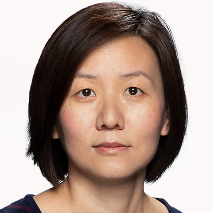 bionic-vision.org | People | Chen Yang, PhDFAIMBE