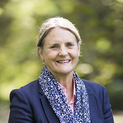 bionic-vision.org | People | Penelope J. Allen, MBBSFRANZCO