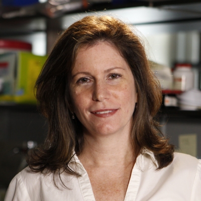 bionic-vision.org | People | Sheila Nirenberg