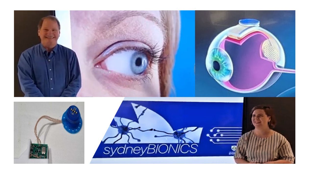 bionic-vision.org | Research Spotlights | Gregg Suaning