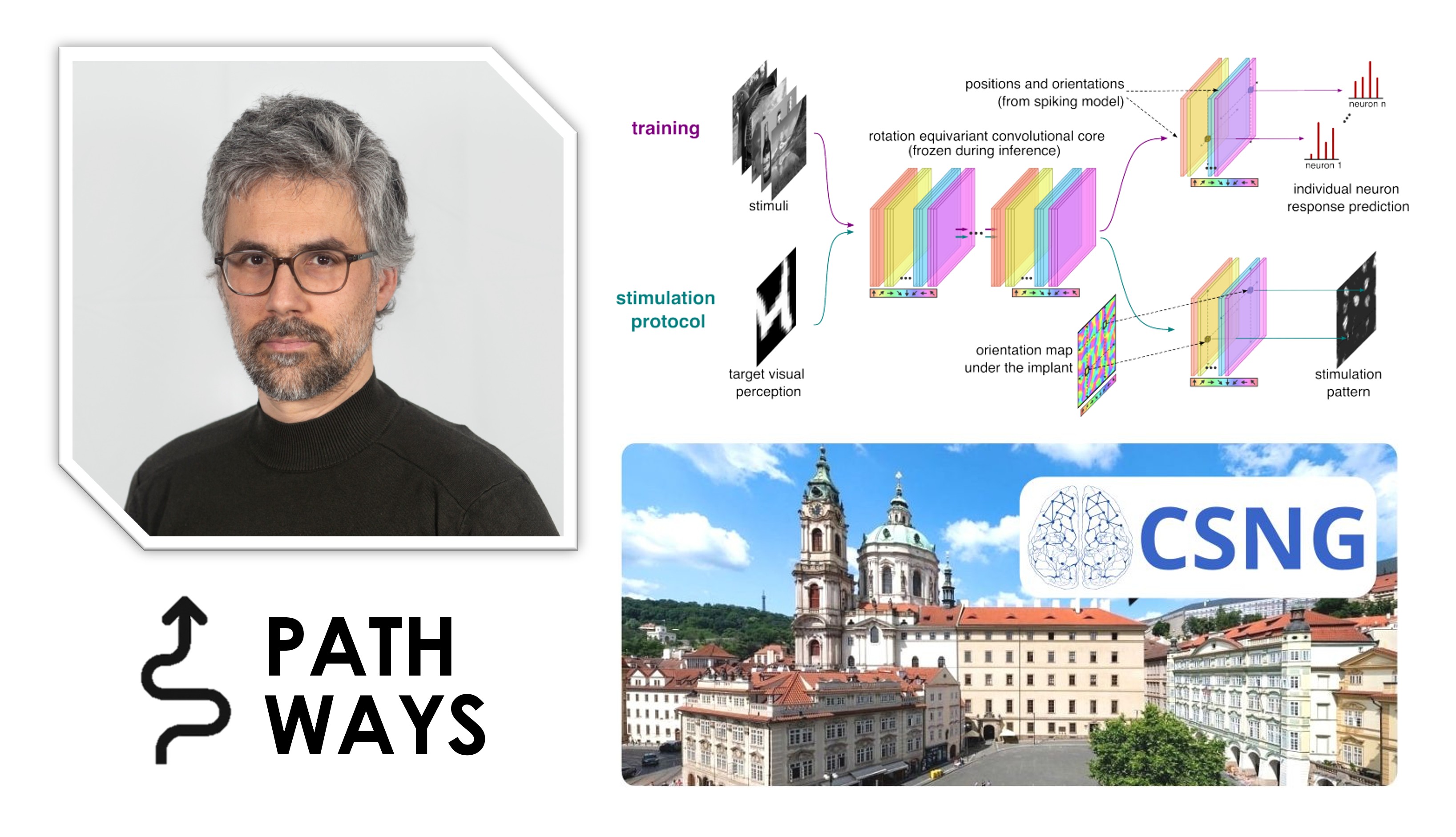 bionic-vision.org | Research Spotlights | Jan Antolik